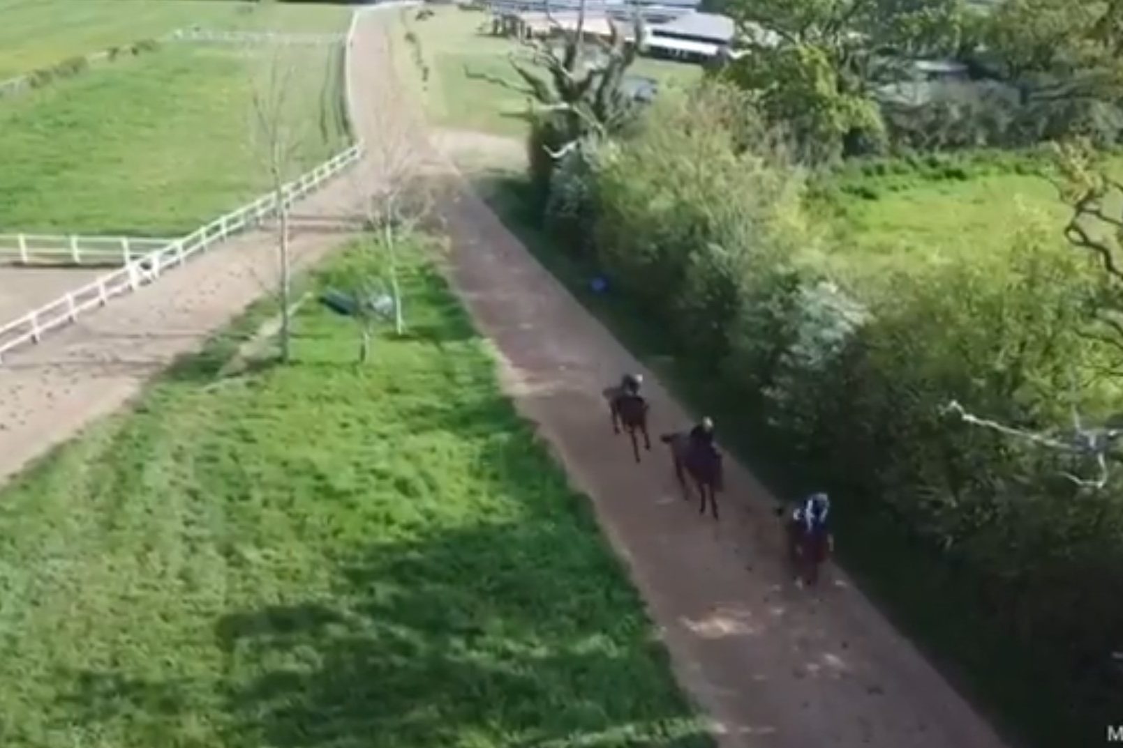 Alex Dunn & Rebecca Menzies - Trainers at Racehorse Ownership