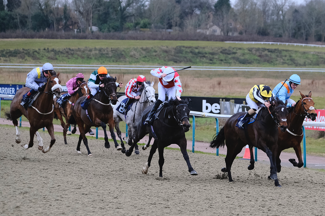 Racehorse Ownership - Own a share in a racehorse for a year.