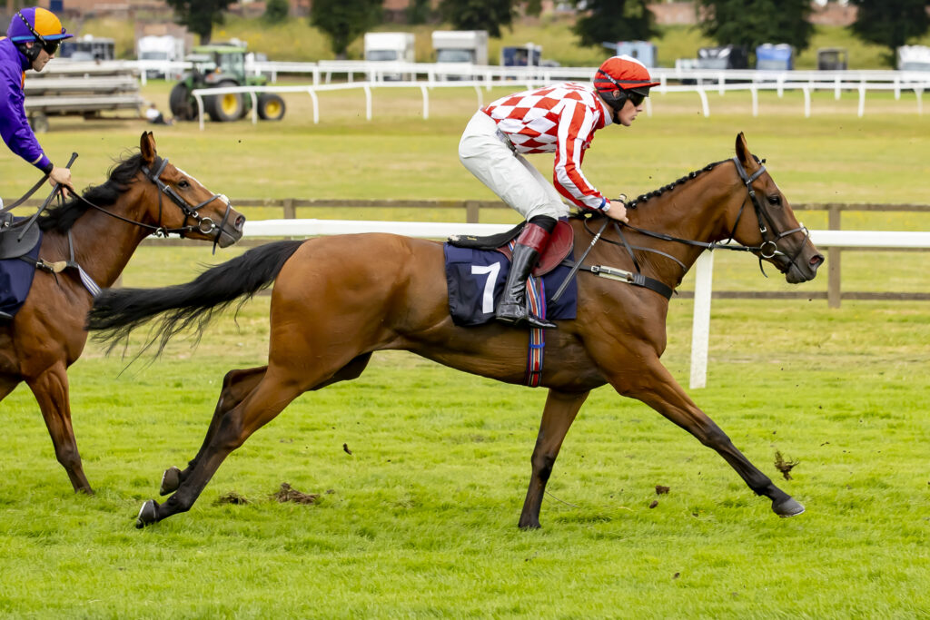 Blitz Spirit - Racehorse Ownership