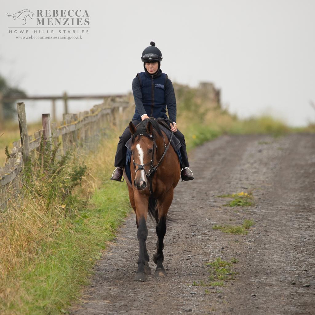 Apache Canyon - Racehorse Ownership