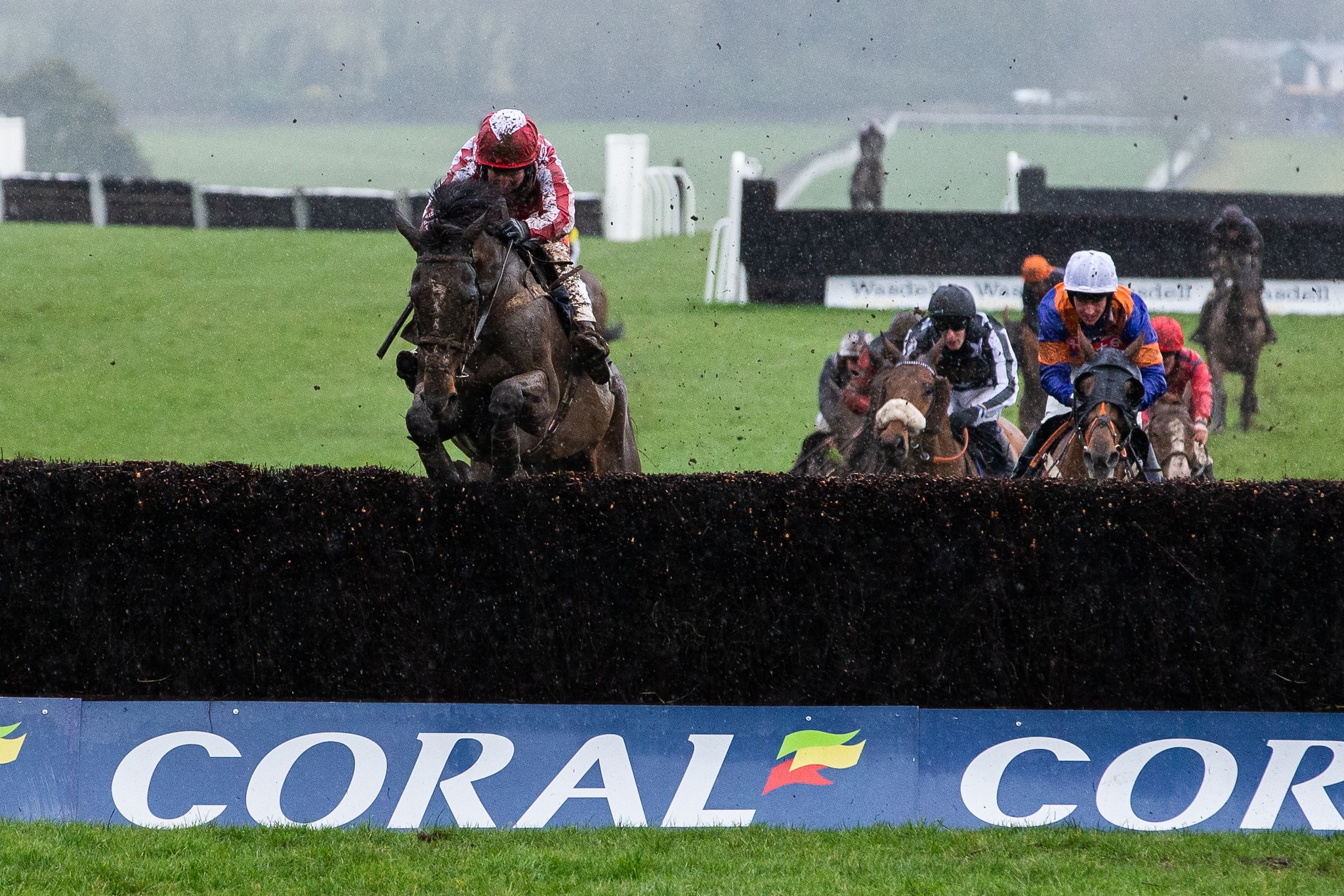 Roll Of Honour - Racehorse Ownership