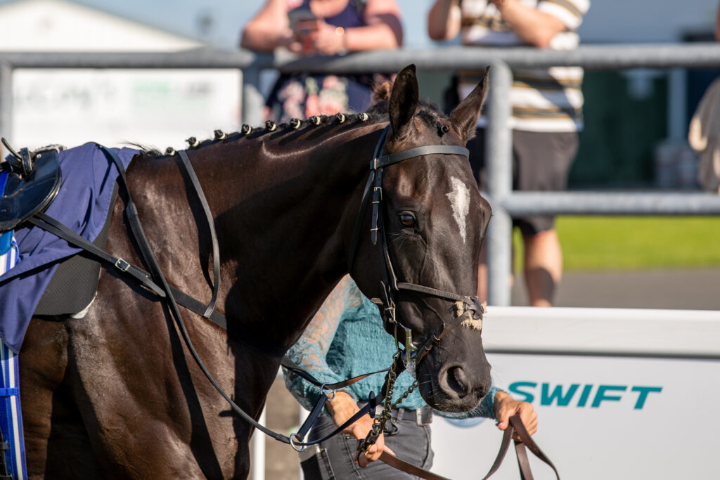 Grand Style - Racehorse Ownership