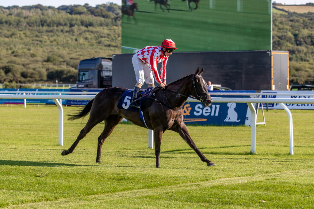 Grand Style - Racehorse Ownership