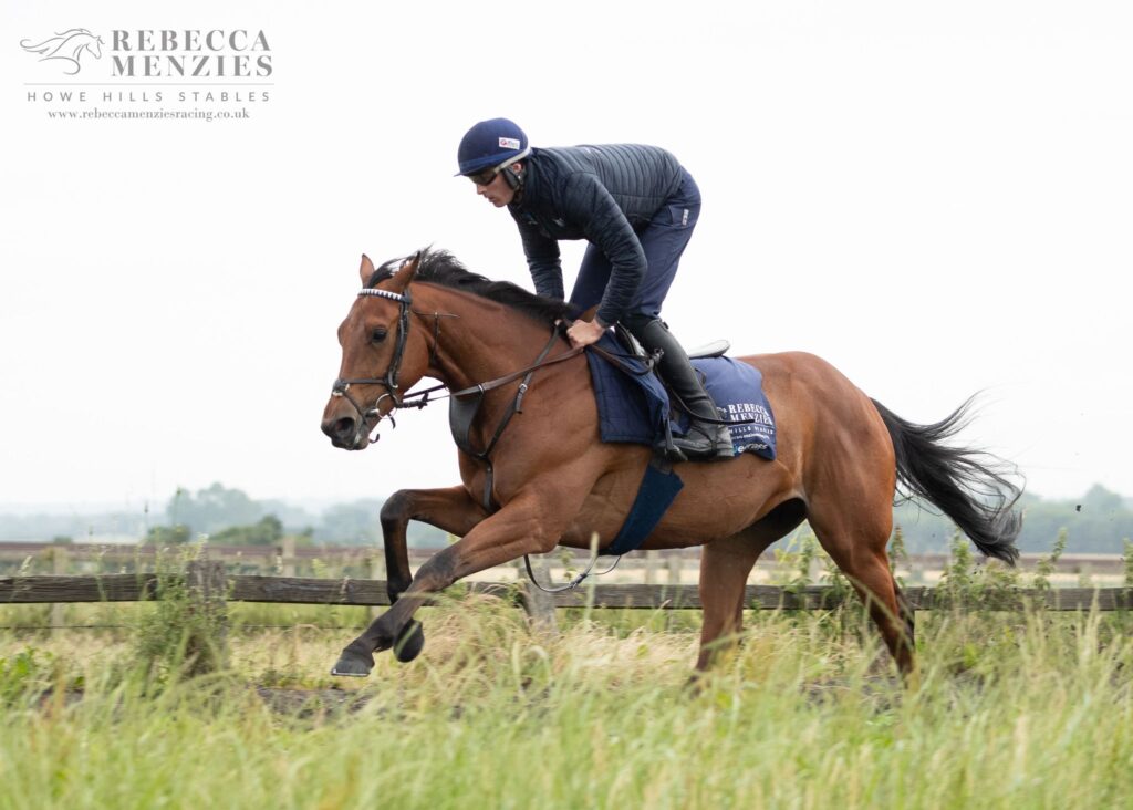 Simba's Roar - Racehorse Ownership