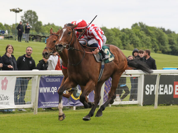 Roll Of Honour - Racehorse Ownership